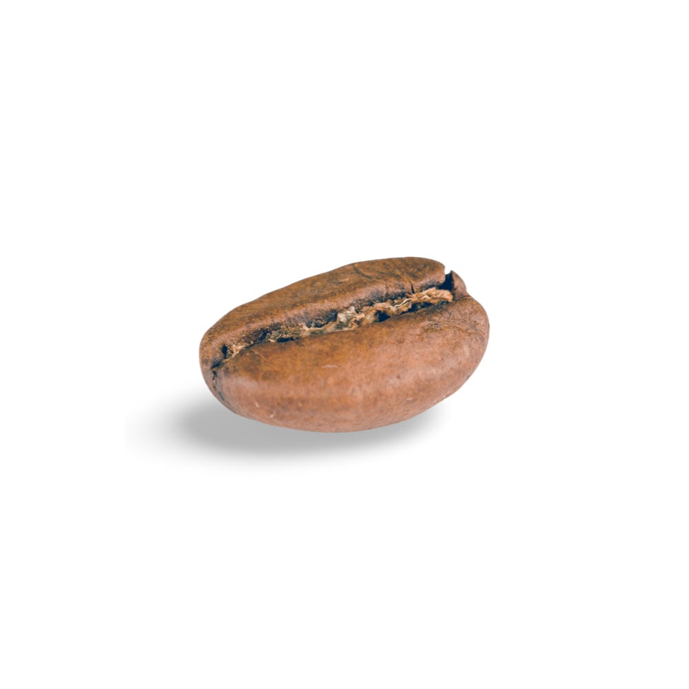 Whole Beans – Italian Coffee Club HK